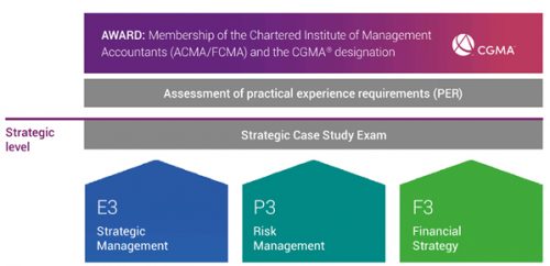 CIMA Strategic Level - Contemporary Training